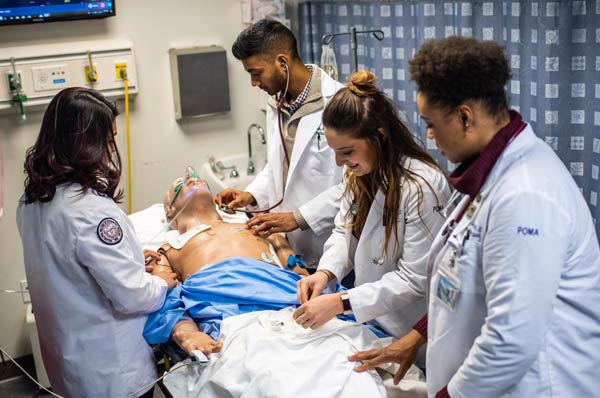 Degree Programs and Certificates | Programs of Study at PCOM