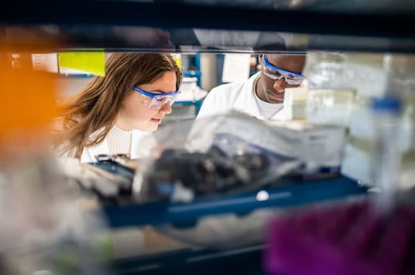 Medical Laboratory Science Pre-Professional Program at PCOM Georgia