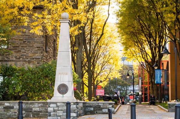 Strategic Plan a Model for Success | PCOM 2020 News