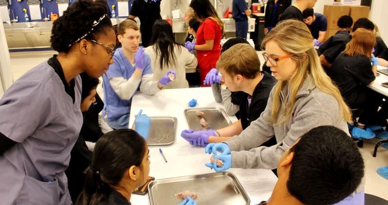 PCOM Receives 2019 Inspiring Programs in STEM Award